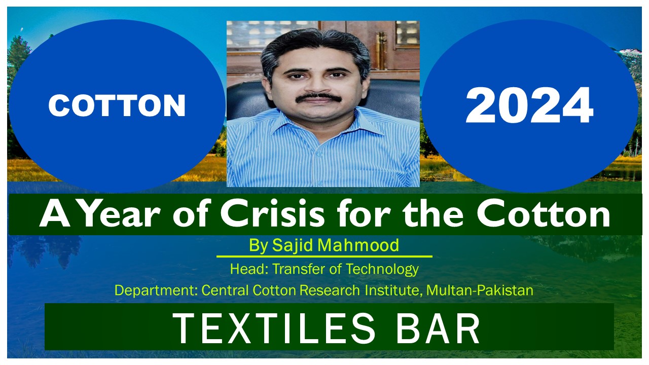 2024: A Year of Crisis for the Cotton - Textiles Bar
